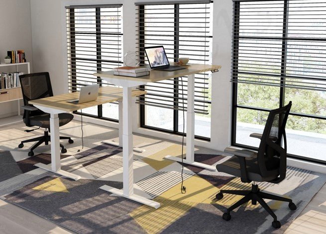 Improve Posture With Motorised Standing Desk – Lazy Maisons®